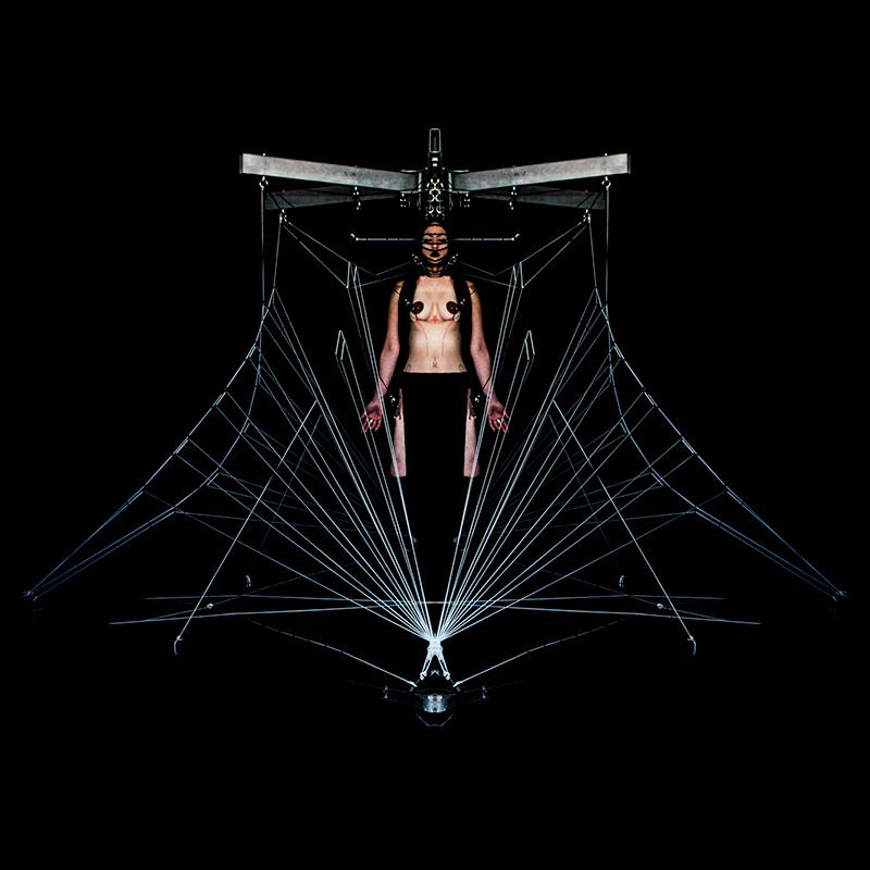 orbgasm's profile | objkt.com