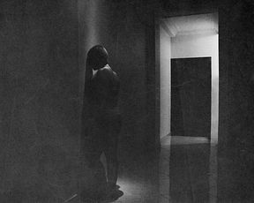 Sally's profile on objkt.com