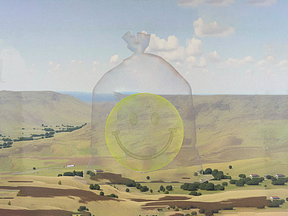 Auctions on objkt.com