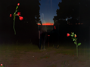 Auctions on objkt.com