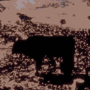 Auctions on objkt.com