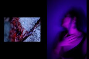 DDO__xyz's profile | objkt.com