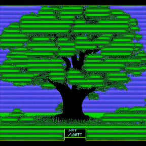 Auctions on objkt.com