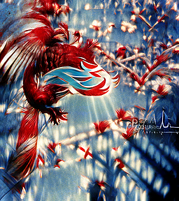 objkt.com | The largest Digital Art & Collectible marketplace on Tezos