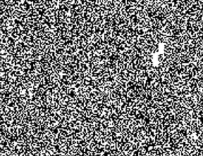 objkt.com | The largest Digital Art & Collectible marketplace on Tezos