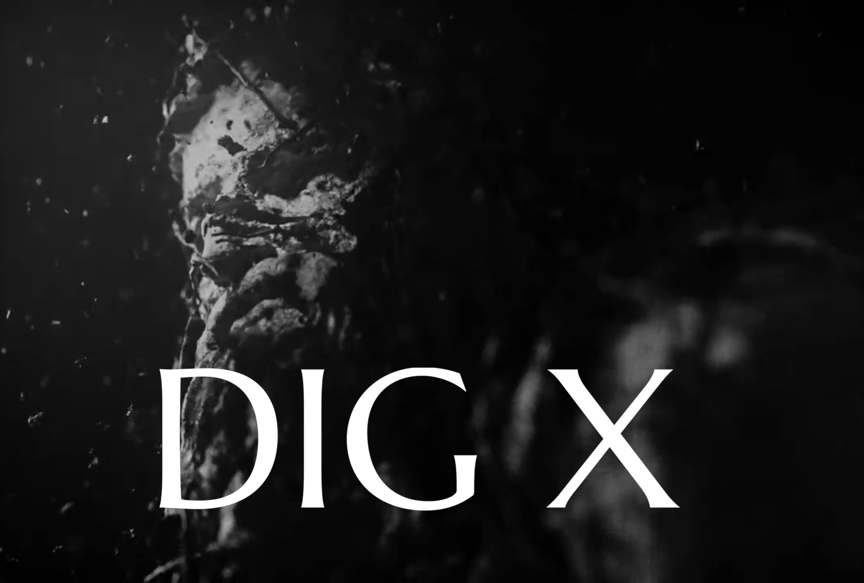 DIG X