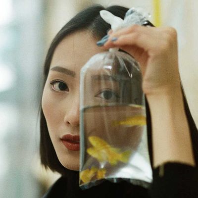 MELL's profile on objkt.com