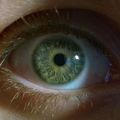 Personman's profile on objkt.com