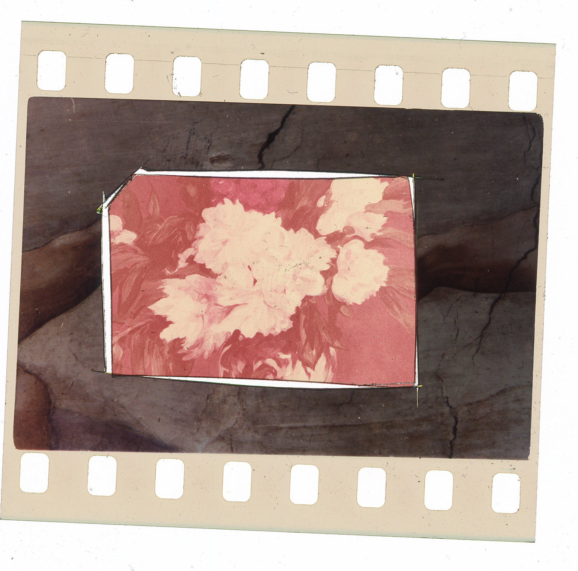 bosquegracias's profile | objkt.com